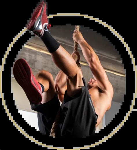 Cellular Hydration Human Optimization Cellular Hydration Human Optimization