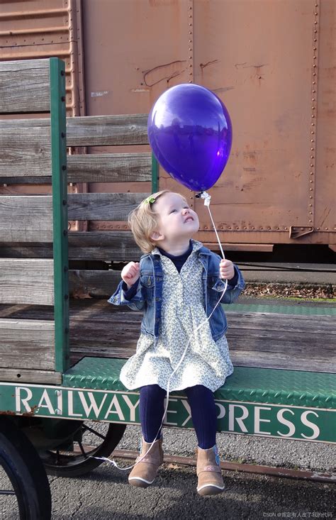 Mask Rcnn目标分割 训练数据集 Balloon Coco Maskrcnn训练coco数据集 Csdn博客