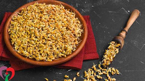 خواص جوانه گندم دارو دراگ