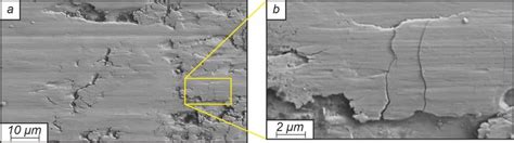The Disk Surface After Test Download Scientific Diagram