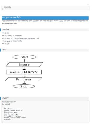C Programming Project PDF