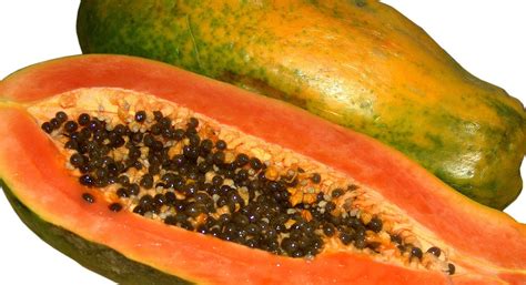 Papaya Fruit Lợi Ích Sức Khỏe Dinh Dưỡng Và Cách Sử Dụng Tốt Nhất