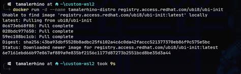 Creating A Custom Wsl2 Image Tamalerhinos Blog