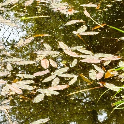 The Ruby Cube Ltd On Linkedin Were Always Learning