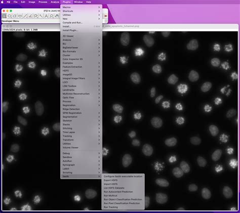 Ilastik Ilastik Fiji Plugin