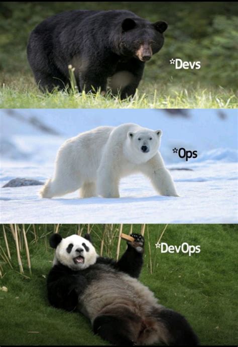 Rohit Prajapat On Linkedin Happy Friday