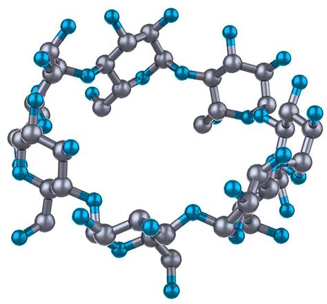 Cyclodextrin Cyclodextrin