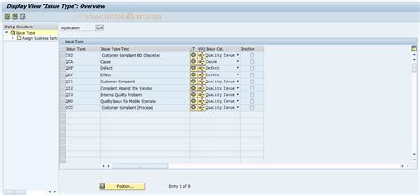 QAM QIBP SAP Tcode Assign Partner Position To Issue Type Transaction Code