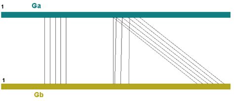 A Hierarchical Alignment Graph Of Input Alignment Pairs The Number Of