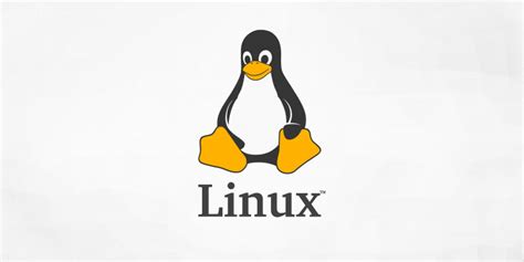 Mengenal Linux Operasi Sistem Open Source Yang Paling Populer DigitalBisa