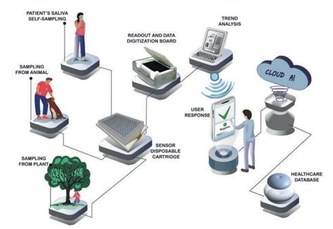 Single Molecule Detection At Point Of Care Revolutionary Diagnostic Advances Single Molecule