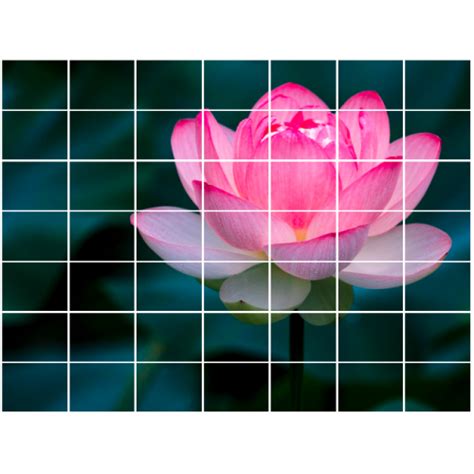 Image Slicer Php Script Can Be Used To Cut Photo Into Equal Parts By Php Script