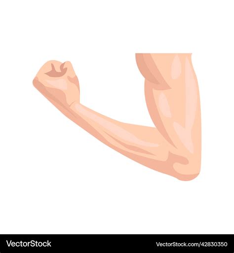 Muscular Arm Flat Icon Colored Element From Body Vector Image