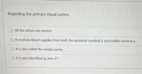 Solved Regarding The Primary Visual Cortex O All The Others Chegg Com