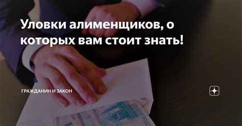 Уловки алименщиков о которых вам стоит знать Анна и закон Дзен