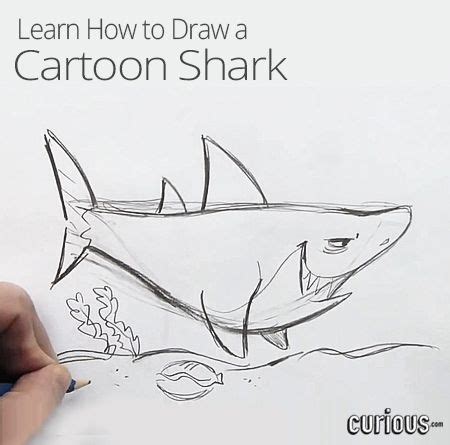 How To Draw A Cartoon Shark Shark Drawing Cartoon Drawings Drawings