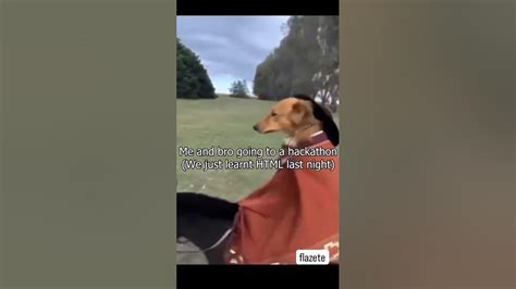 Hackathon 😂coders Sih Codingmemes Memes Developer Html