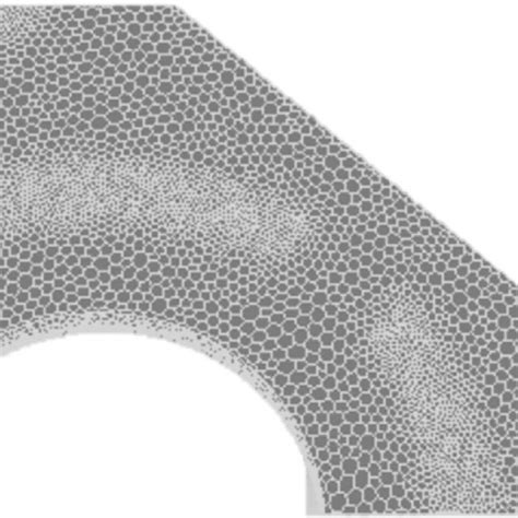 Polyhedral Mesh Used In The Computational Domain²² Download