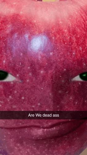 Are We Dead Ass Meme Are We Dead Ass Discover And Share S