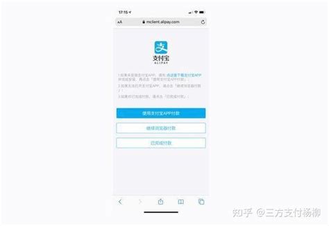 app支付与h5支付的异同 知乎