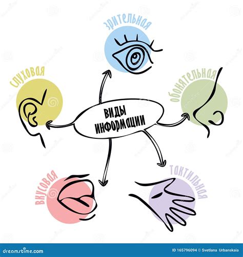 Type Of Information Visual Tactile Olfactory Auditory Gustatory Type Of Information
