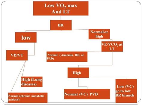 Interpretation Of Cpet Ppt