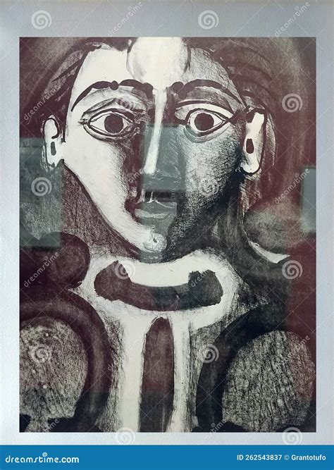 Museo Dei Picassi Fotografia Editoriale Immagine Di Decorazione