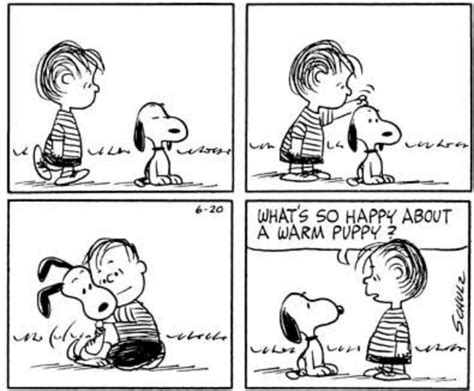 Snoopy And Linus Snoopy Cartoon Peanuts Charlie Brown Snoopy Snoopy Comics