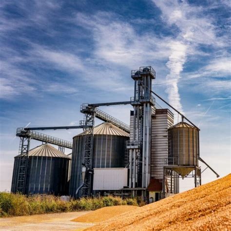 What Is Silo And What Is Grain Silo Annapurna Agronics Machinery