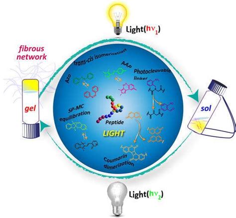 Gels Open Access Journal On Linkedin Peptide Based Low Molecular Weight Photosensitive