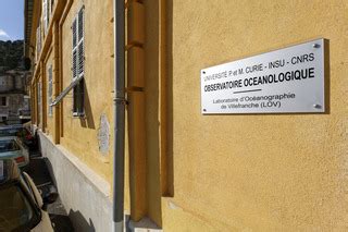Courses Imbrsea