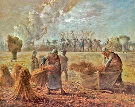 Articles Il était Une Fois La Culture Du Sarrasin Dans La Montagne
