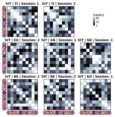 visualising rdms with the 92 images dataset — rsatoolbox 0 3 1 dev13