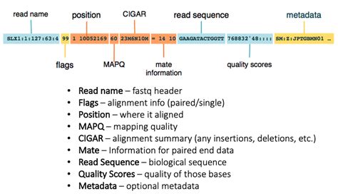 Read Alignment Tufts Tts Research Technology Bioinformatics Workshops