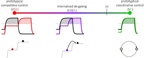 Continuum Of Internalization Between Prototypical Endpoints Of Download Scientific Diagram
