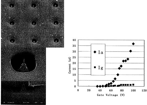 Figure 2 From Carbon Nanotube Field Emission Arrays In An Integrated