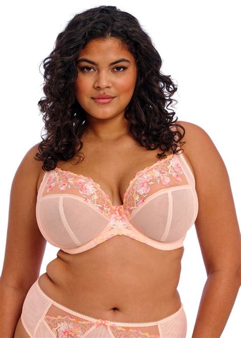 Elomi Himari Plunge Bra Peach Whisper The Rack Shack
