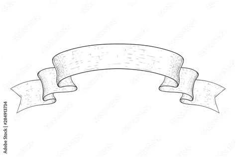 Paper Scroll Hand Drawn Sketch Stock Vector Adobe Stock