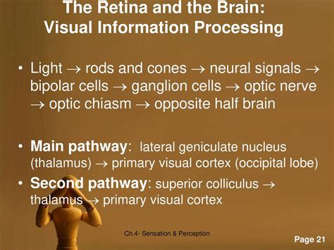 Chapter 4 Sensation And Perception Ppt Download