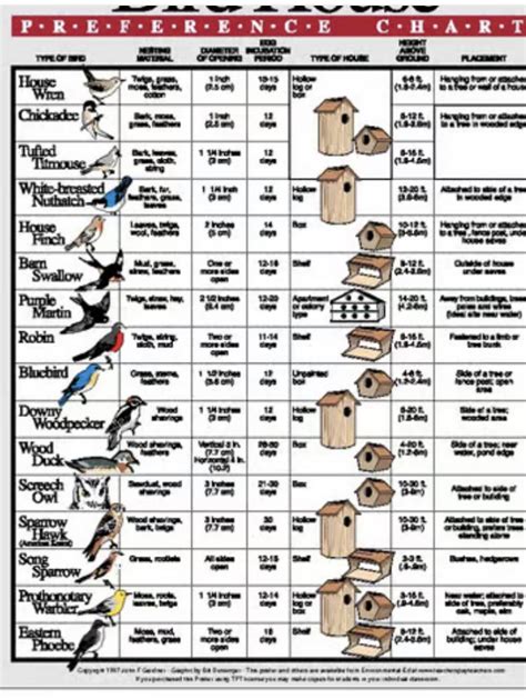 Diy Bird House Chart