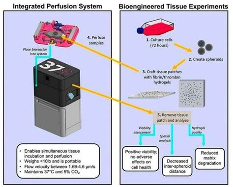 Advancing Tissue Engineering Through A Portable Perfusion And
