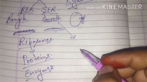 Endoplasmic Reticulum Structure Types And Functions Class 11 Neet