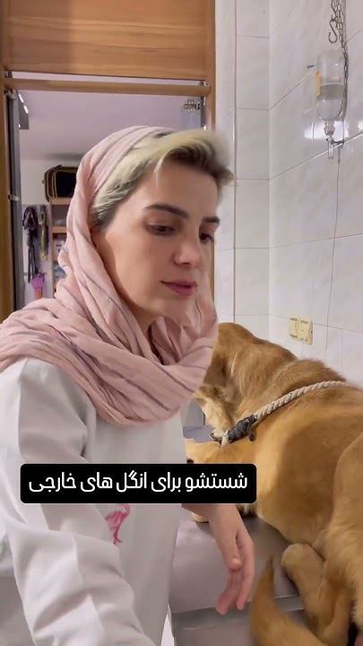 شستشوی انگل های خارجی این سگ صبور و مهربون دامپزشکی Shortvideo Youtube