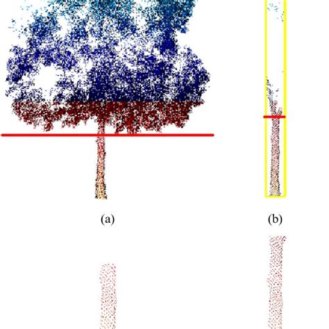 The Workflow Of Trunk Crown Separation A Individual Tree Layered Download Scientific Diagram