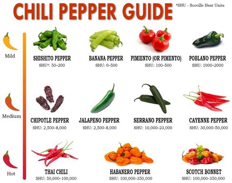 Growing Cayenne Peppers In The Garden A Complete Guide