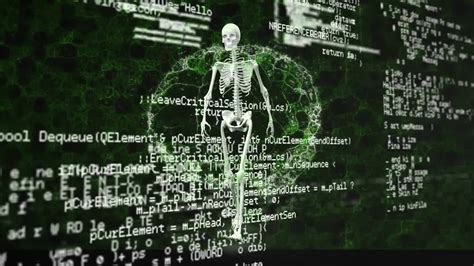 Premium Stock Video Animation Of Human Skeleton And Brain Over Data