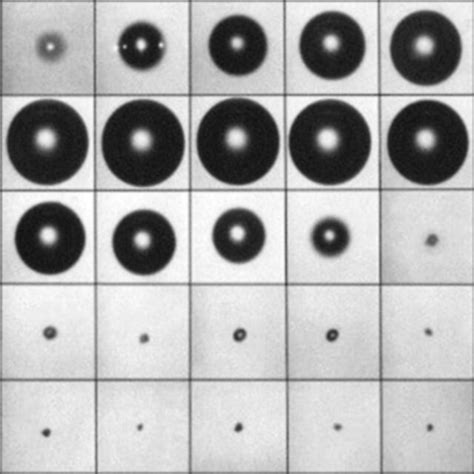 1 Cavitation Bubble Formation And Collapse Lauterborn Et Al 2007