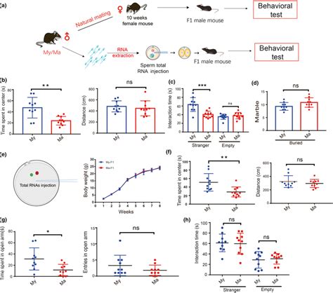 Behavioral Traits In F1 Mice Arising From Natural Mating Or From