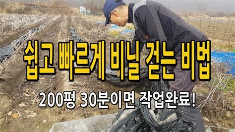 쉽고 빠르게 비닐 걷기 비닐 벗기기 정리 치우기 비법 200평 30분이면 끝 Youtube
