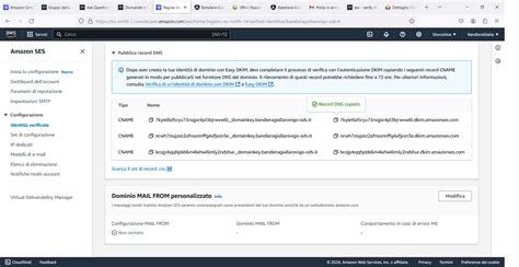 Correctly Enter The CNAME Records Provided During Domain Verification AWS Re Post